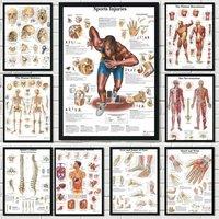 Save 80% - Human Anatomy Muscles System Canvas Painting Art